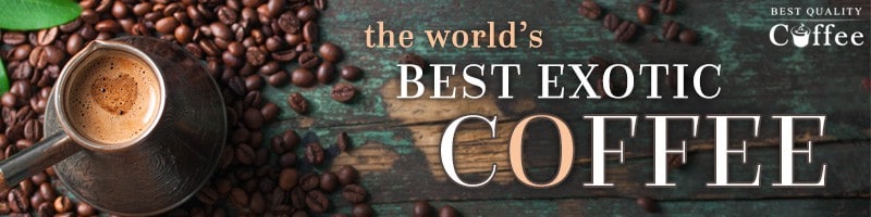 Rare Geisha Coffee Locally Grown in San Diego Sells for $35/Cup - Best ...