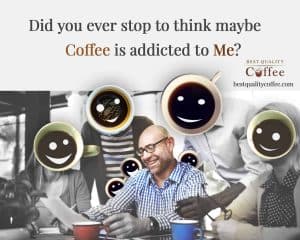 Best Coffee Memes to Make You Smile - Best Quality Coffee