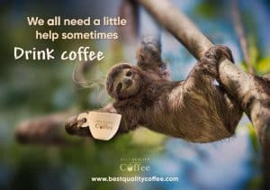 Best Coffee Memes to Make You Smile - Best Quality Coffee