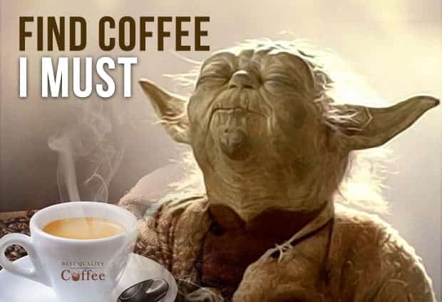 Best Coffee Memes to Make You Smile - Best Quality Coffee