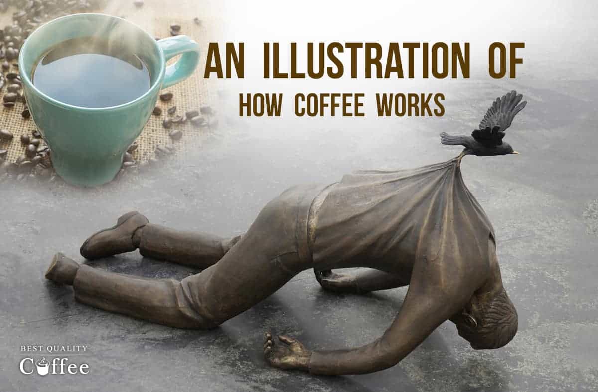 Best Coffee Memes to Make You Smile - Best Quality Coffee