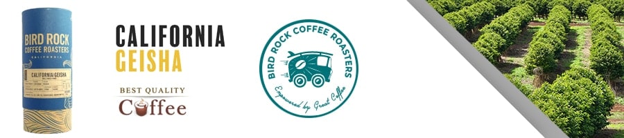 Rare Geisha Coffee Locally Grown in San Diego Sells for $35/Cup - Best ...