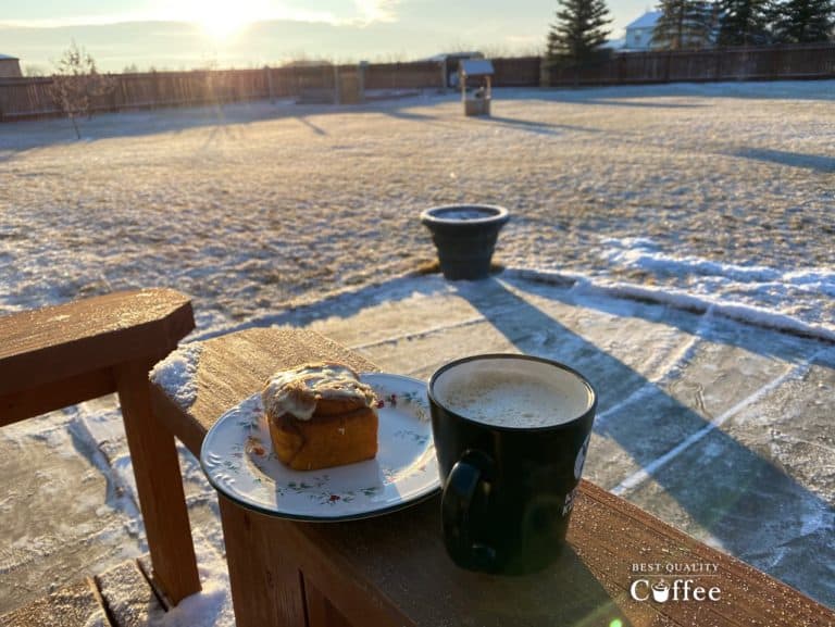 HadinEEon Milk Frother Review - Frothing at its Finest - Best Quality ...