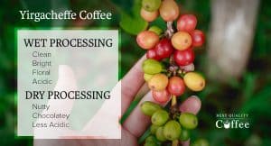Best Ethiopian Coffee Guide / Reviews - Best Quality Coffee