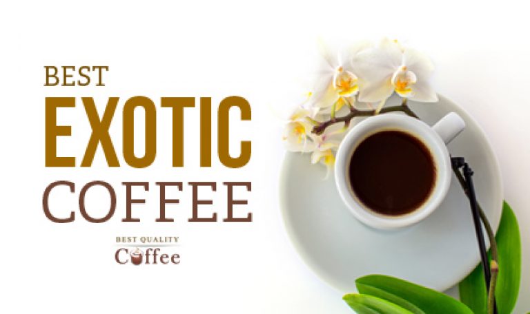 Best Quality Coffee - Shop the best in quality gourmet coffee, K-Cups ...