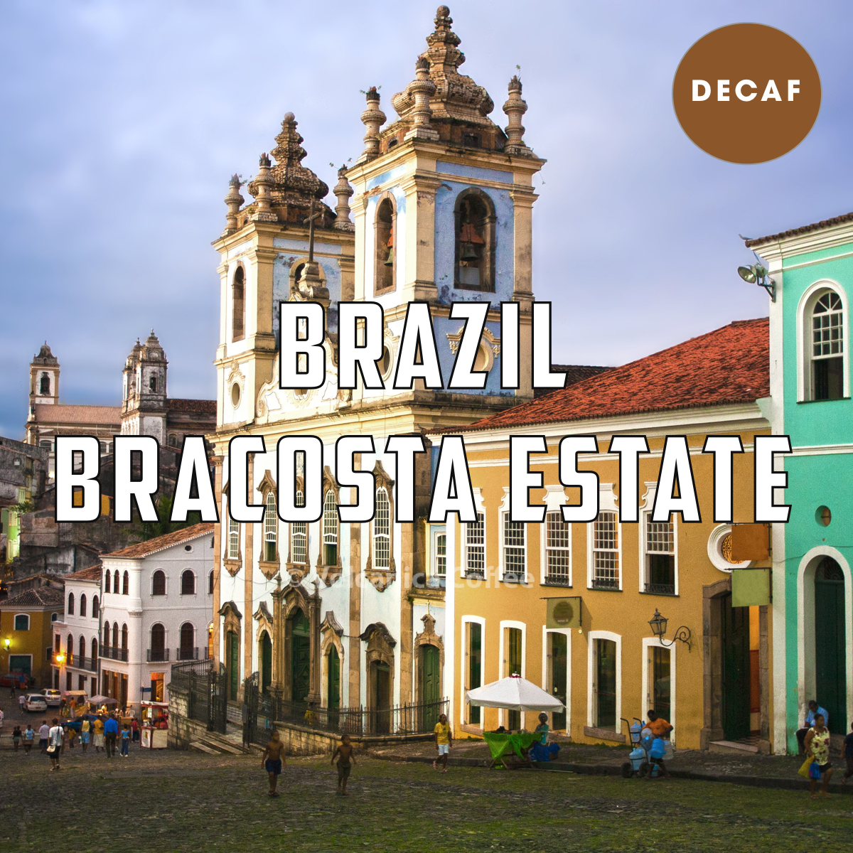 Brazil Decaf Coffee - Bracosta Estate - Best Quality Coffee