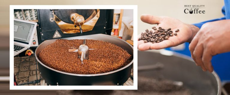 5 Best Specialty Coffee Brands You Need to Try - Best Quality Coffee