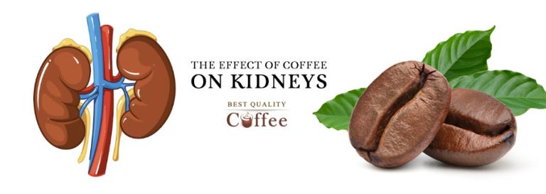 Is Coffee Bad for Kidneys? The Risks and Benefits Explained - Best ...