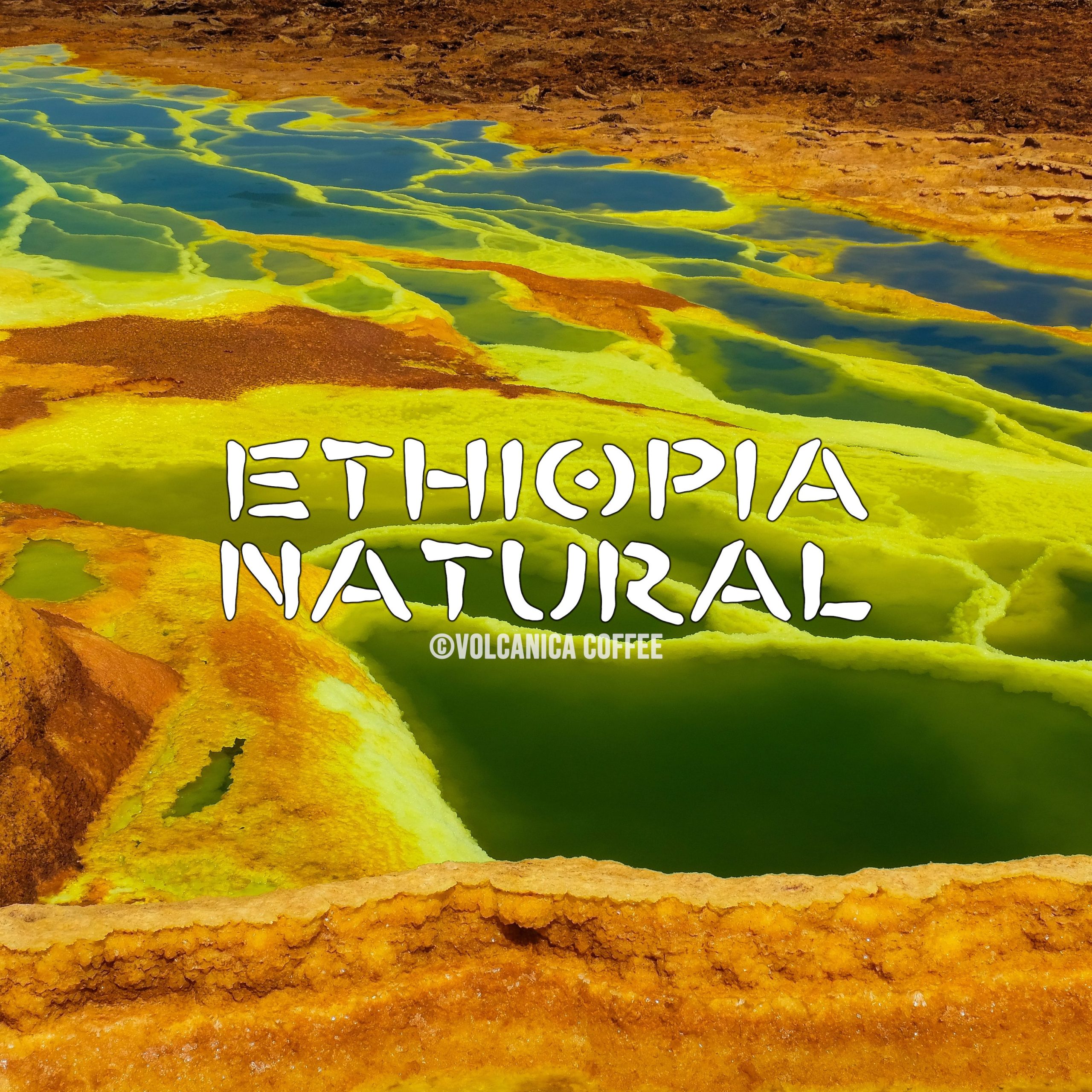 Ethiopia Natural Coffee, Natural Process - Best Quality Coffee