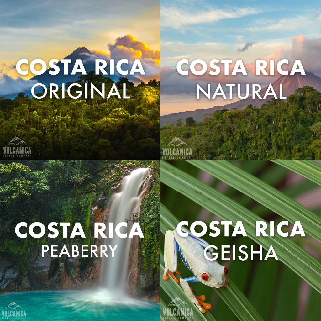 Costa Rican Coffee Gift Box - Best Quality Coffee