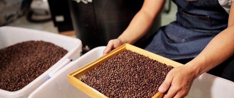 Best Mold Free Coffee and Mycotoxin Free Coffee [2023]