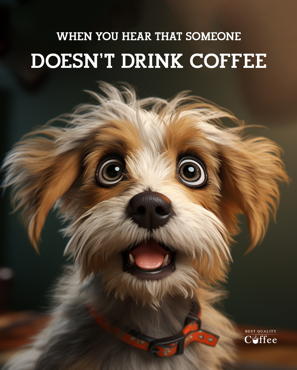 Best Coffee Memes to Make You Smile - Best Quality Coffee
