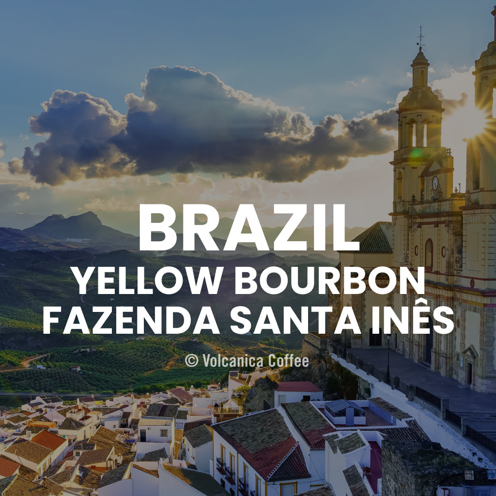 Brazil Yellow Bourbon Coffee, Cup of Excellence #14 - Best Quality Coffee