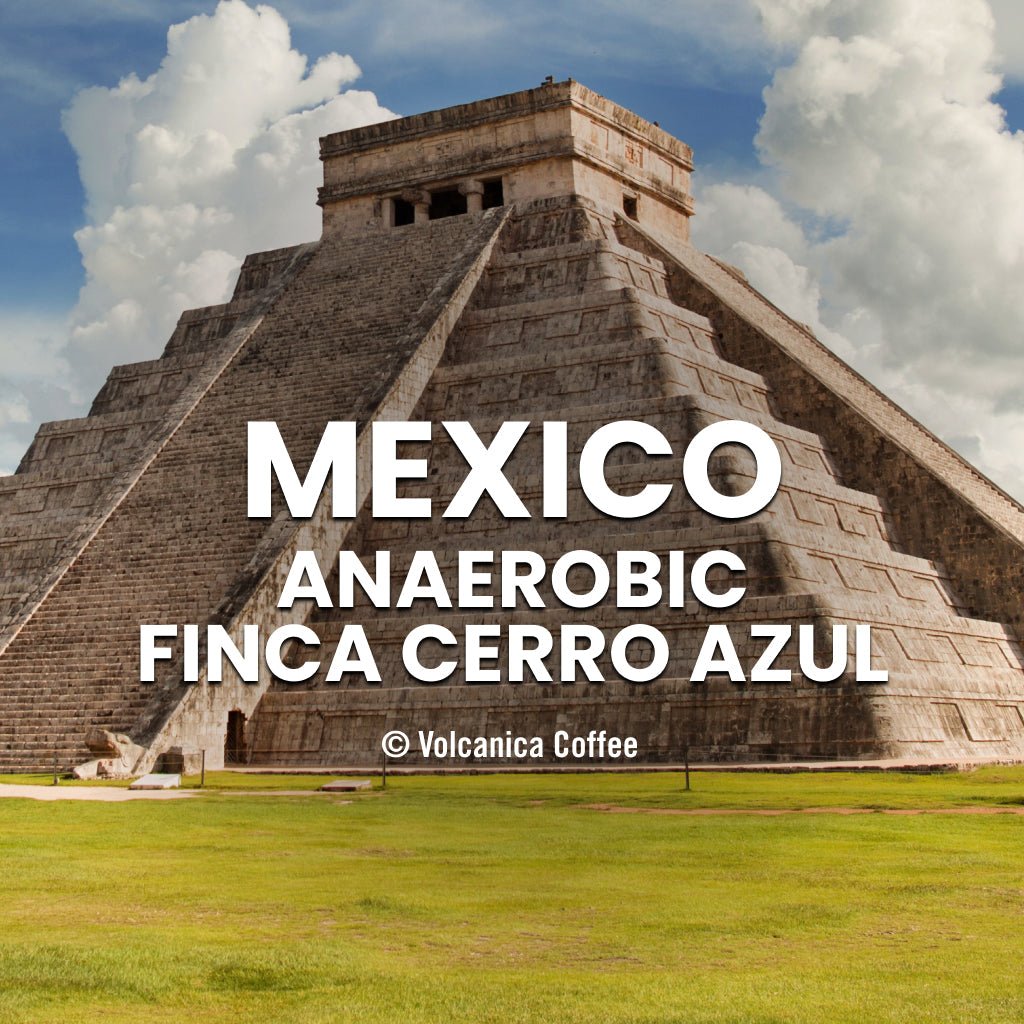 Mexico Anaerobic Finca Cerro Azul Coffee - Best Quality Coffee