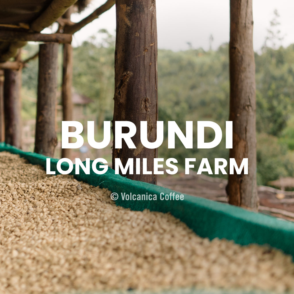 Burundi Long Miles Farm Coffee - Best Quality Coffee