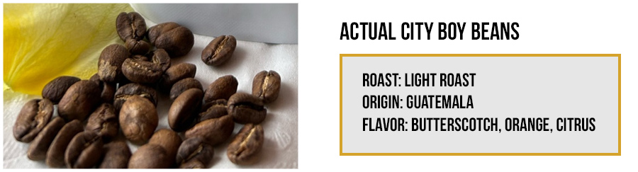 City Boy Coffee Review [Worth the Money]? - Best Quality Coffee